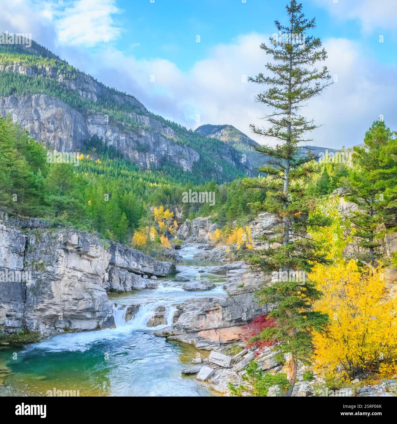 fall colors along the dearborn river in the devils glen area of lewis ...