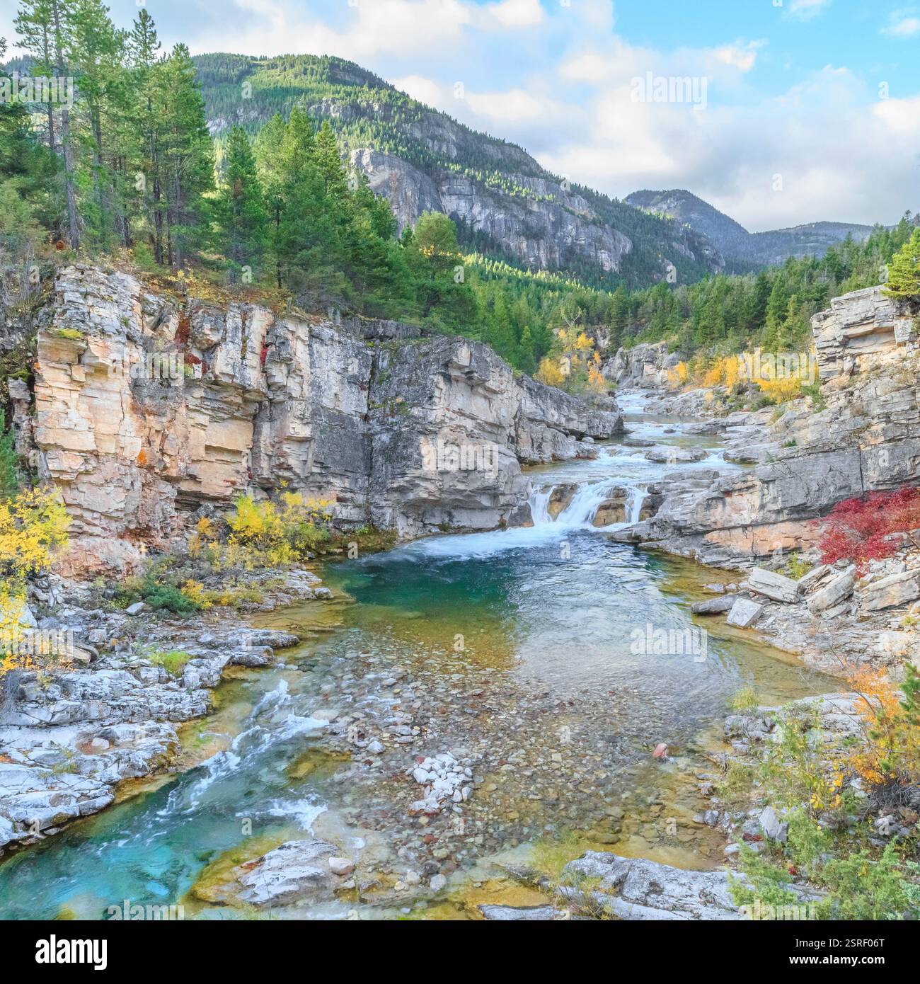 fall colors along the dearborn river in the devils glen area of lewis ...