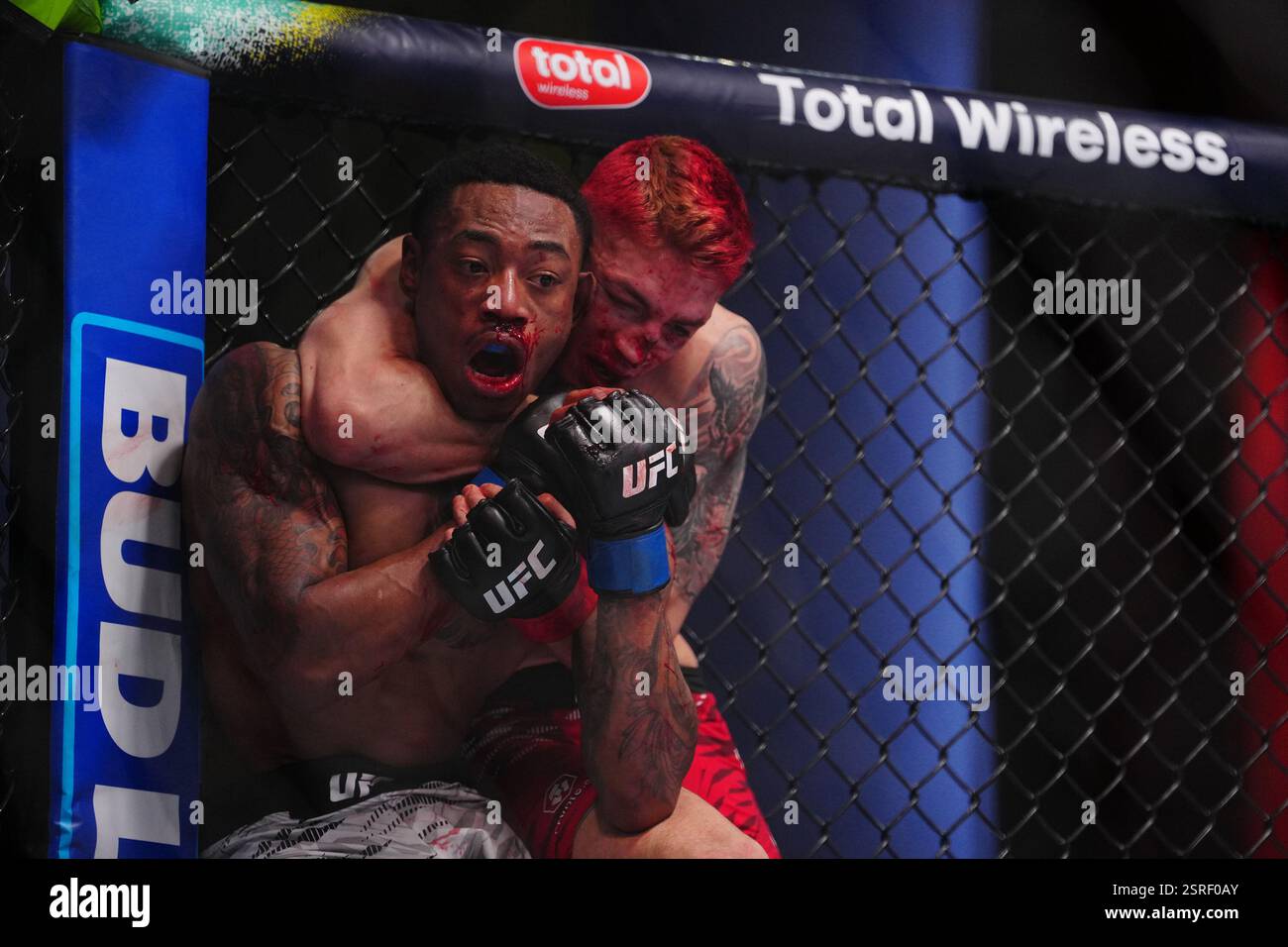 February 15, 2025, Las Vegas, Nv, Las Vegas, Nv, United States: Vince ...