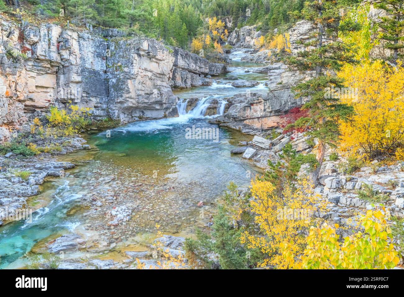 fall colors along the dearborn river in the devils glen area of lewis ...