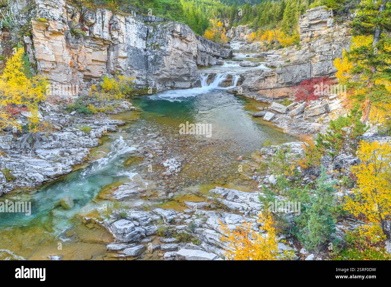 fall colors along the dearborn river in the devils glen area of lewis ...