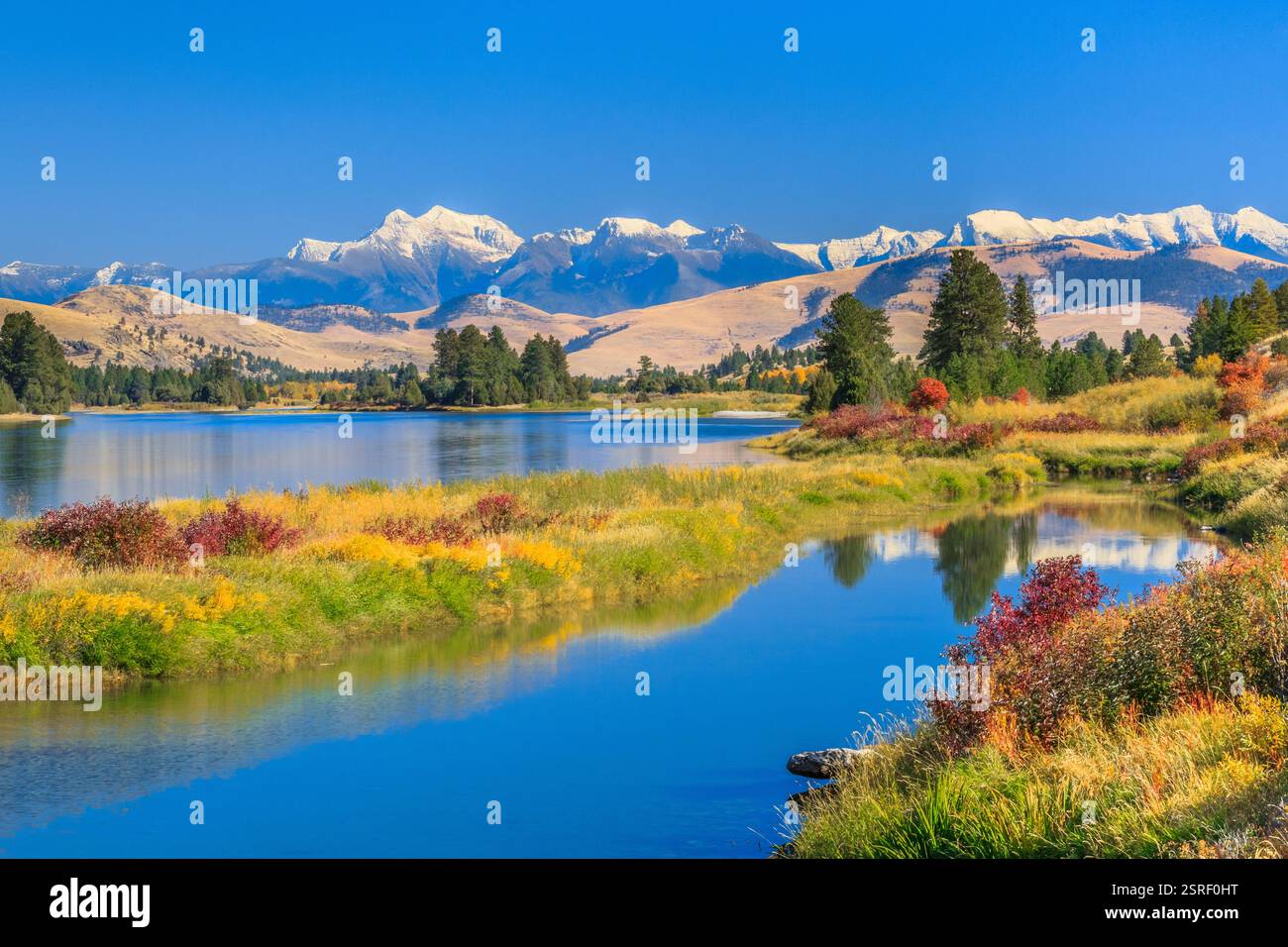 fall colors along the flathead river below the mission mountains near ...