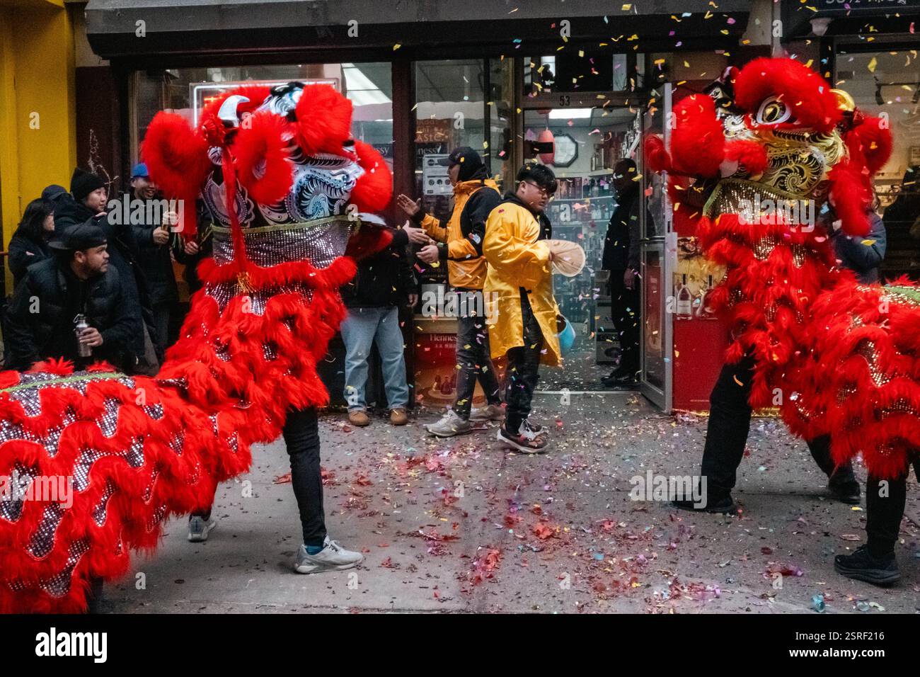 New York, United States. 08th Feb, 2025. Members of the Tai Look lion ...