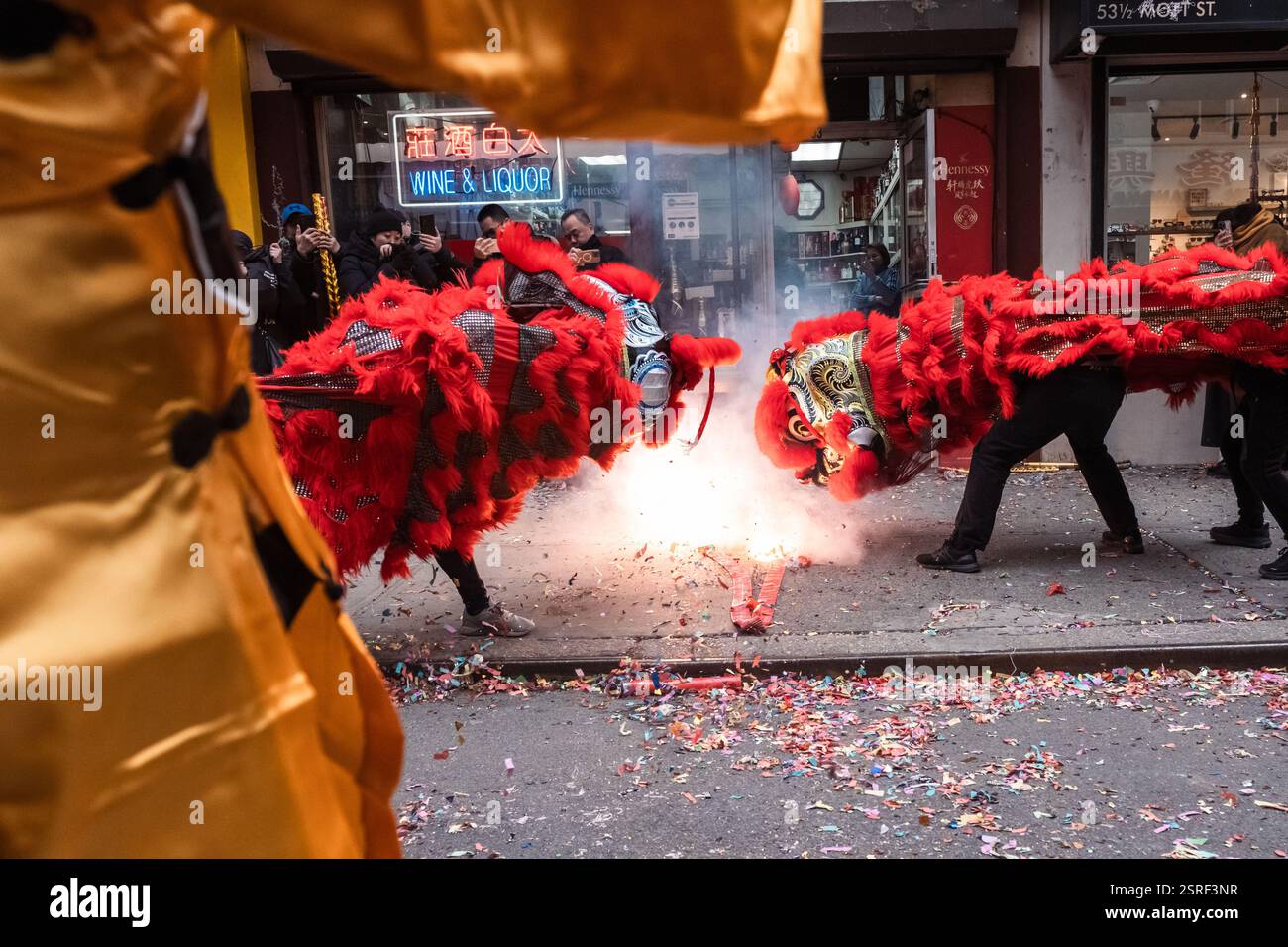 New York, United States. 08th Feb, 2025. Members of the Tai Look lion ...