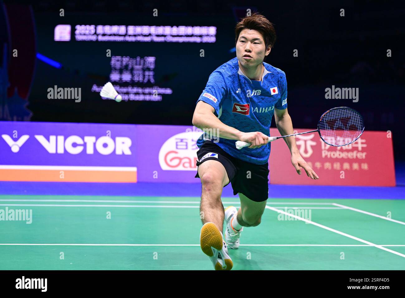 QINGDAO, CHINA - FEBRUARY 15, 2025 - Chinese players CHEN Xu Jun and ...
