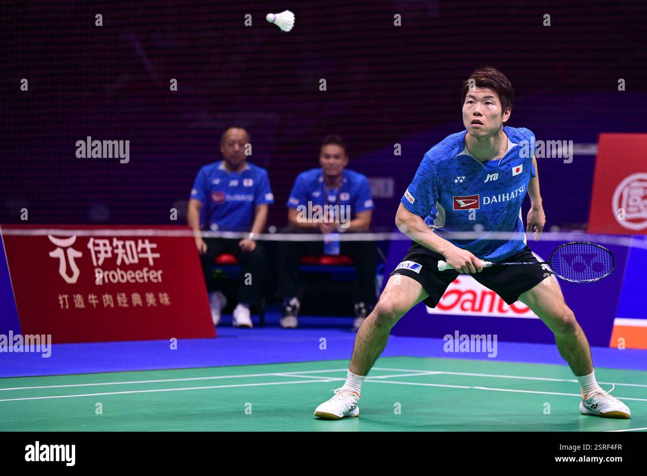 QINGDAO, CHINA - FEBRUARY 15, 2025 - Chinese players CHEN Xu Jun and ...