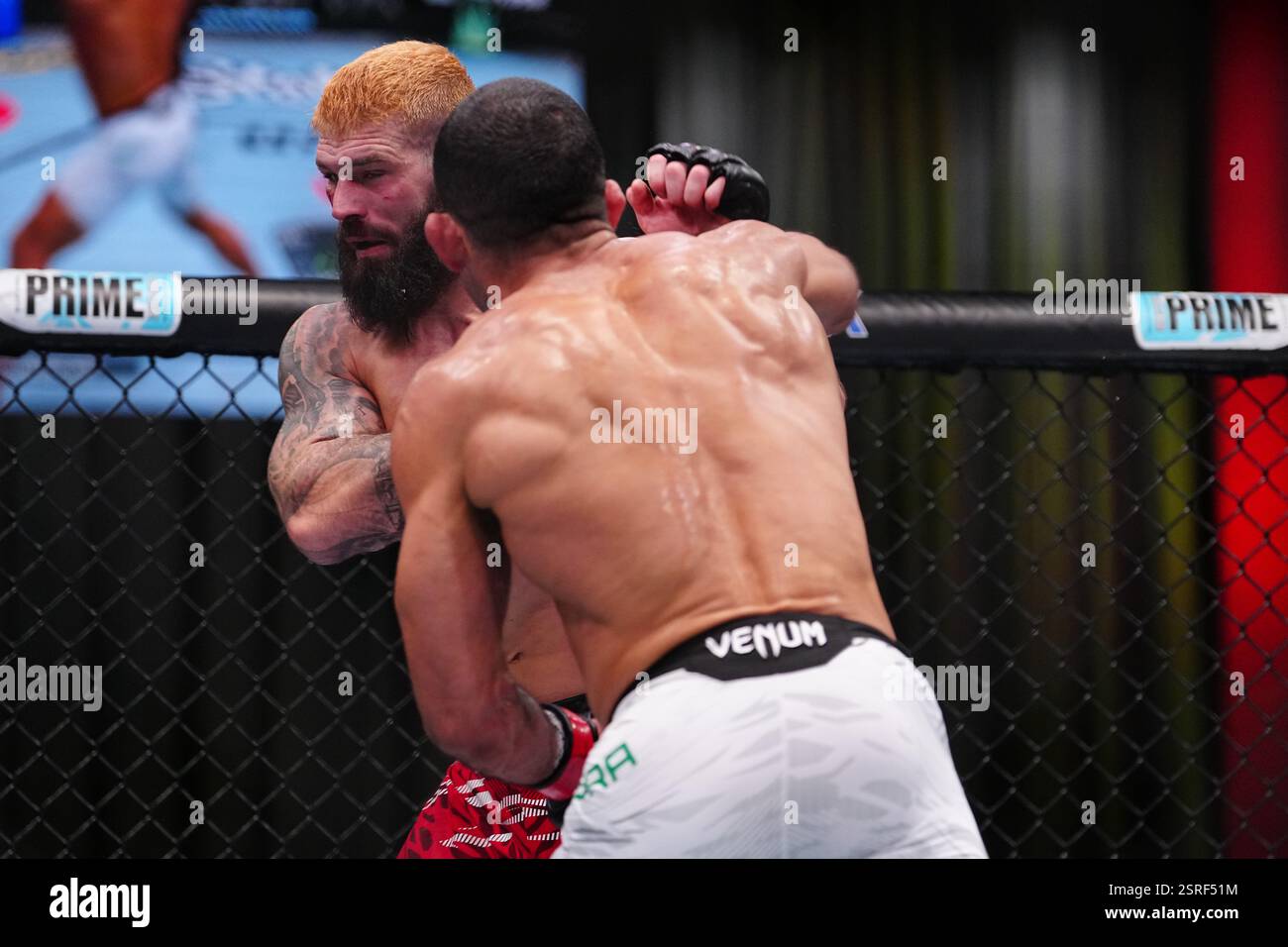 Rodolfo vieira and andre petroski hi-res stock photography and images - Alamy