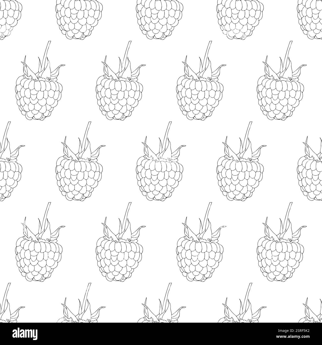 Raspberry berry. Seamless pattern. Doodle style Stock Vector Image ...