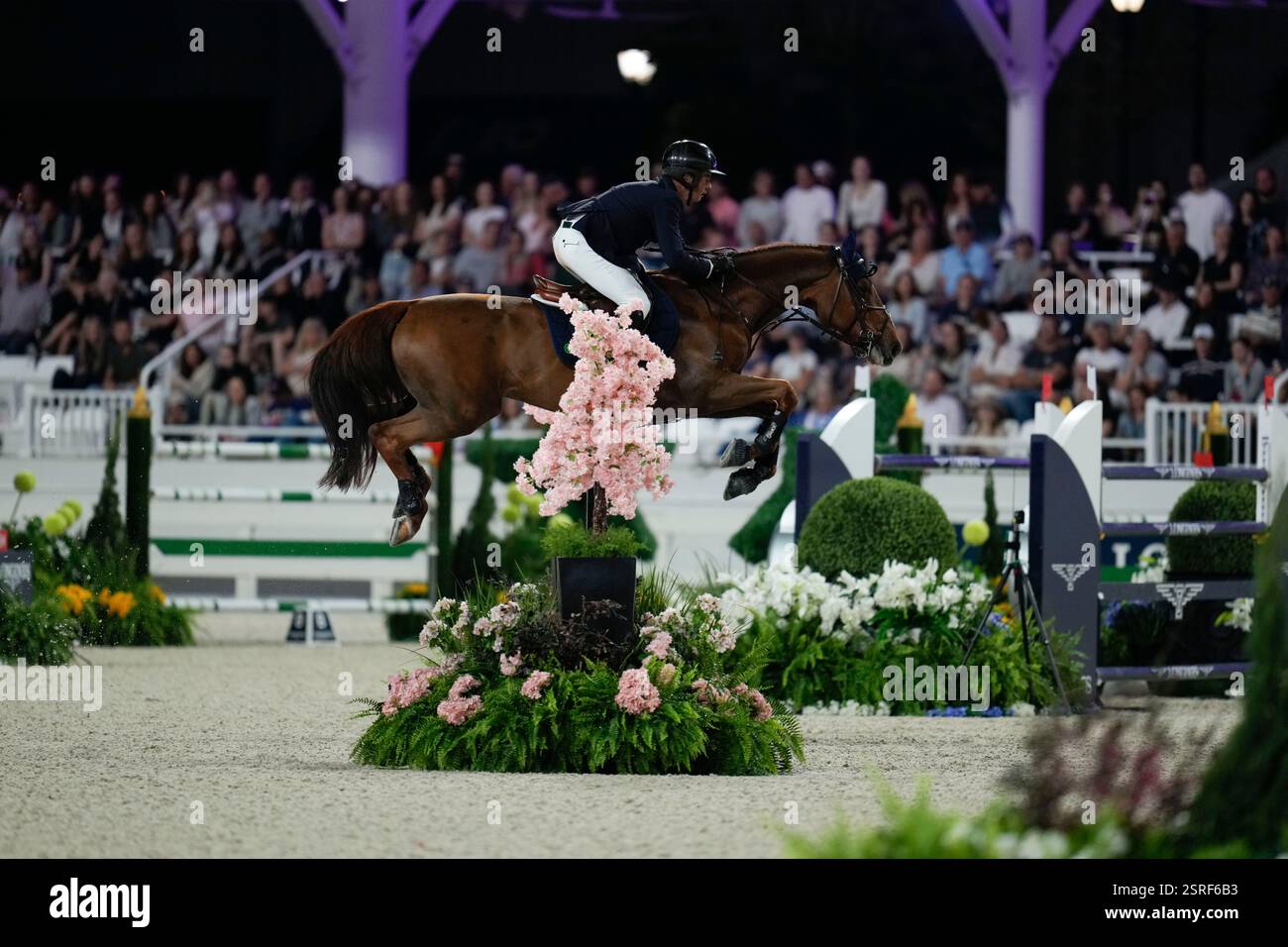 Ocala, Florida, USA. 15th Feb, 2025. Cian OÃ Connor (Ireland) aboard ...