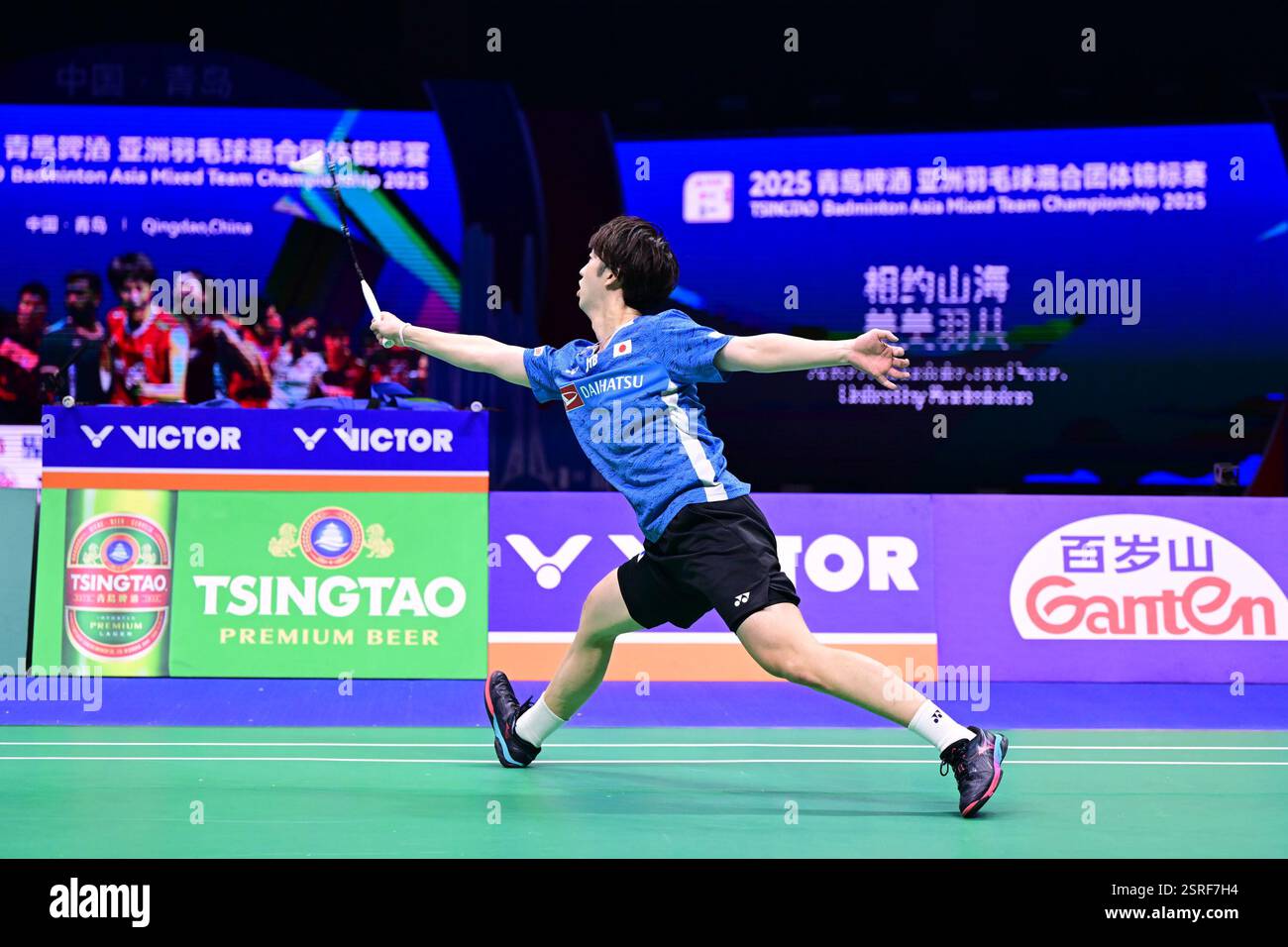 Qingdao, China. 16th Feb, 2025. QINGDAO, CHINA - FEBRUARY 15, 2025 - Chinese players CHEN Xu Jun ...