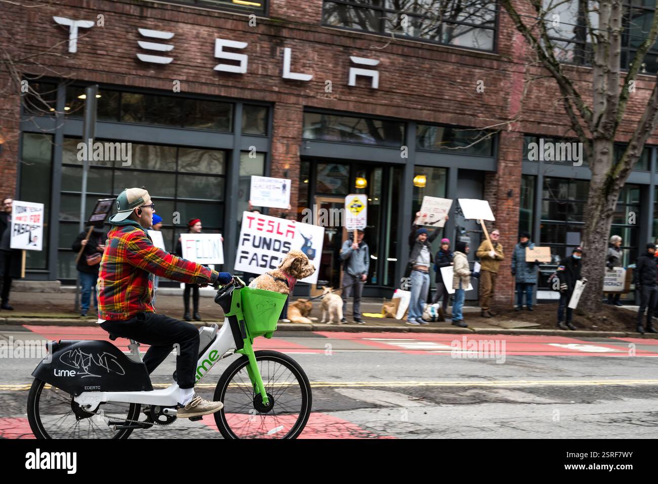 Seattle, USA. 15th Feb 2025. Activists gather during the Tesla Takeover ...