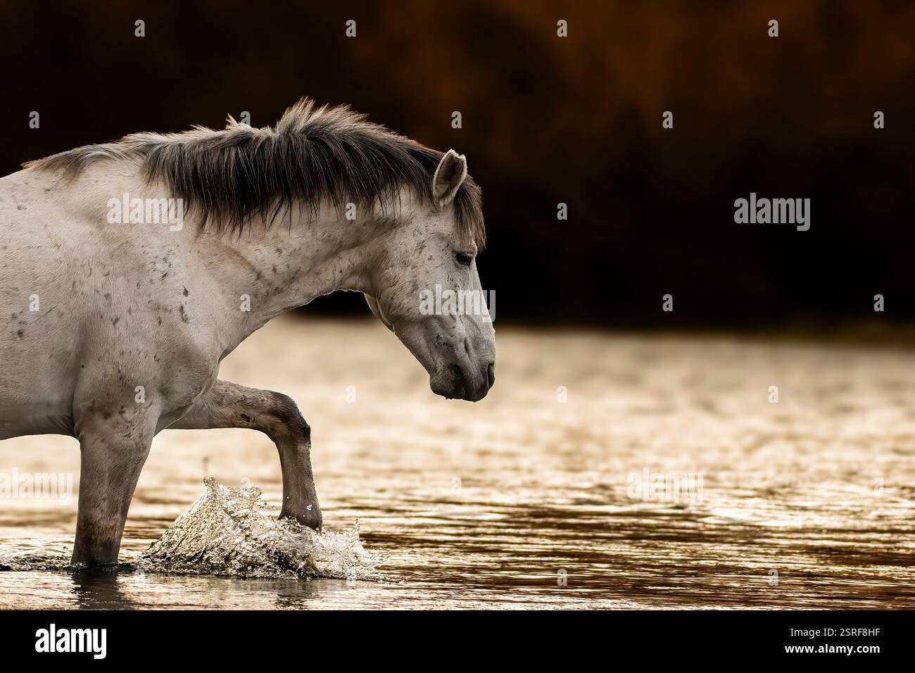 Making way across river hi-res stock photography and images - Alamy