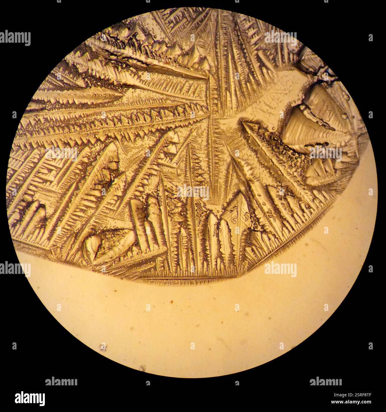 Amazing patterns of crystals precipitated from mineral spring water, as ...