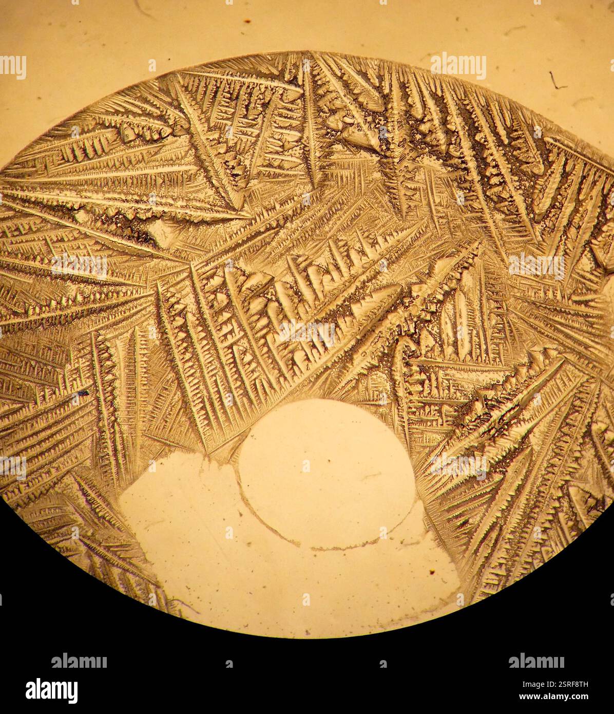 Amazing patterns of crystals precipitated from mineral spring water, as ...