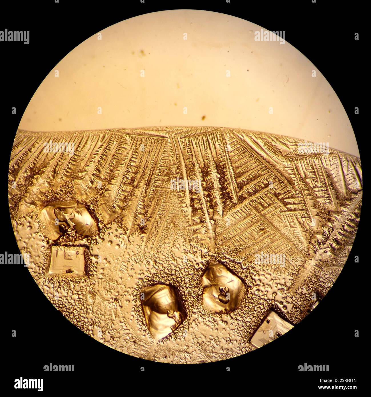 Amazing patterns of crystals precipitated from mineral spring water, as ...