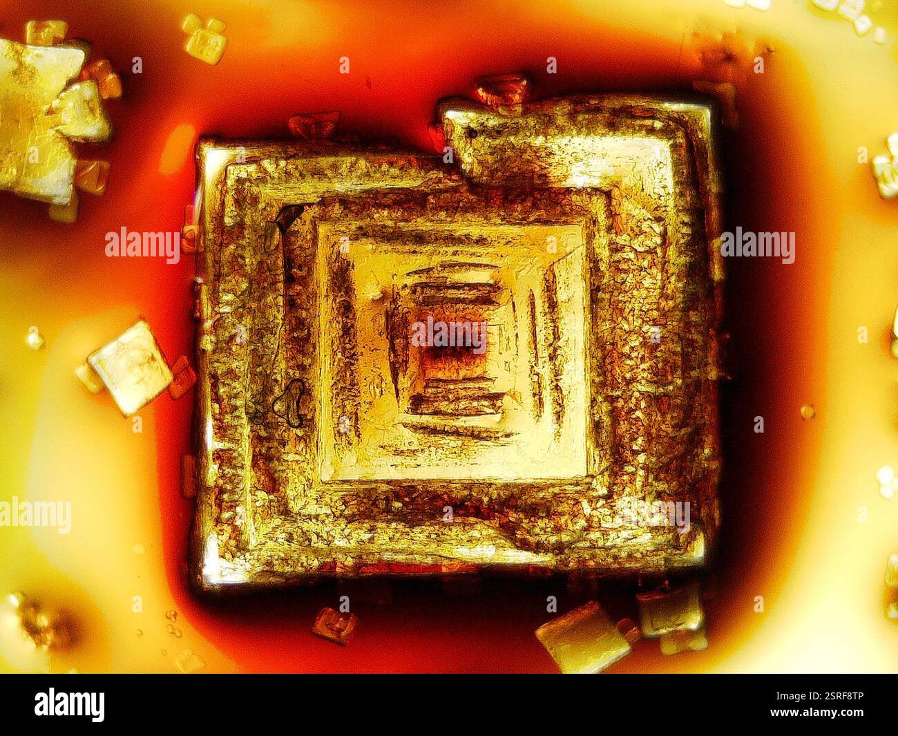 A microscopic salt crystal precipitated from olive brine, magnified 25x ...