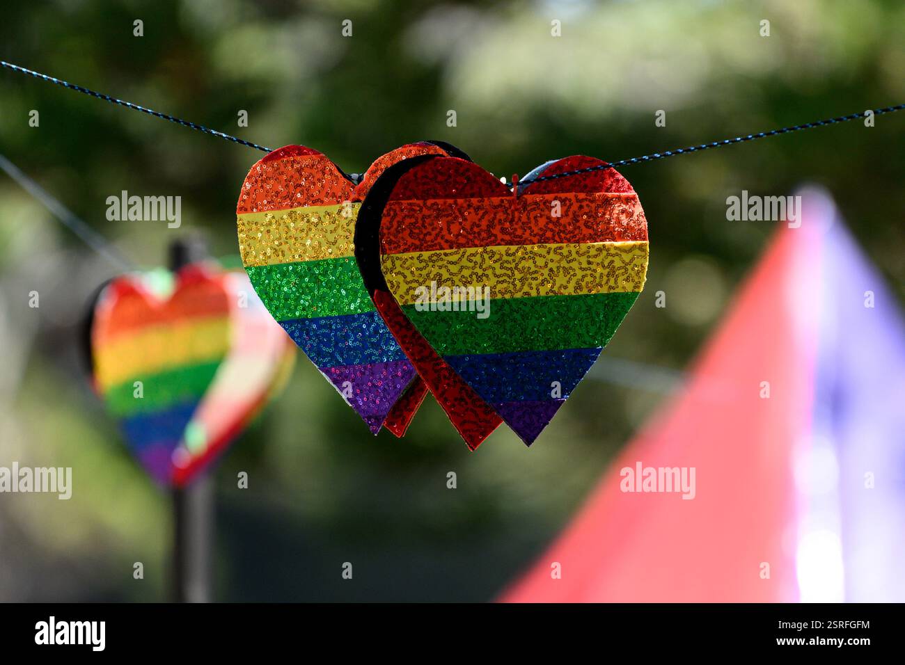 Sydney, Australia. 16th Feb, 2025. A general view during the Mardi Gras ...