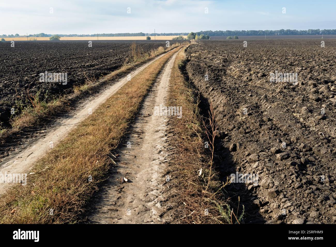 A rural dirt road stretching through vast plowed farmland, surrounded ...