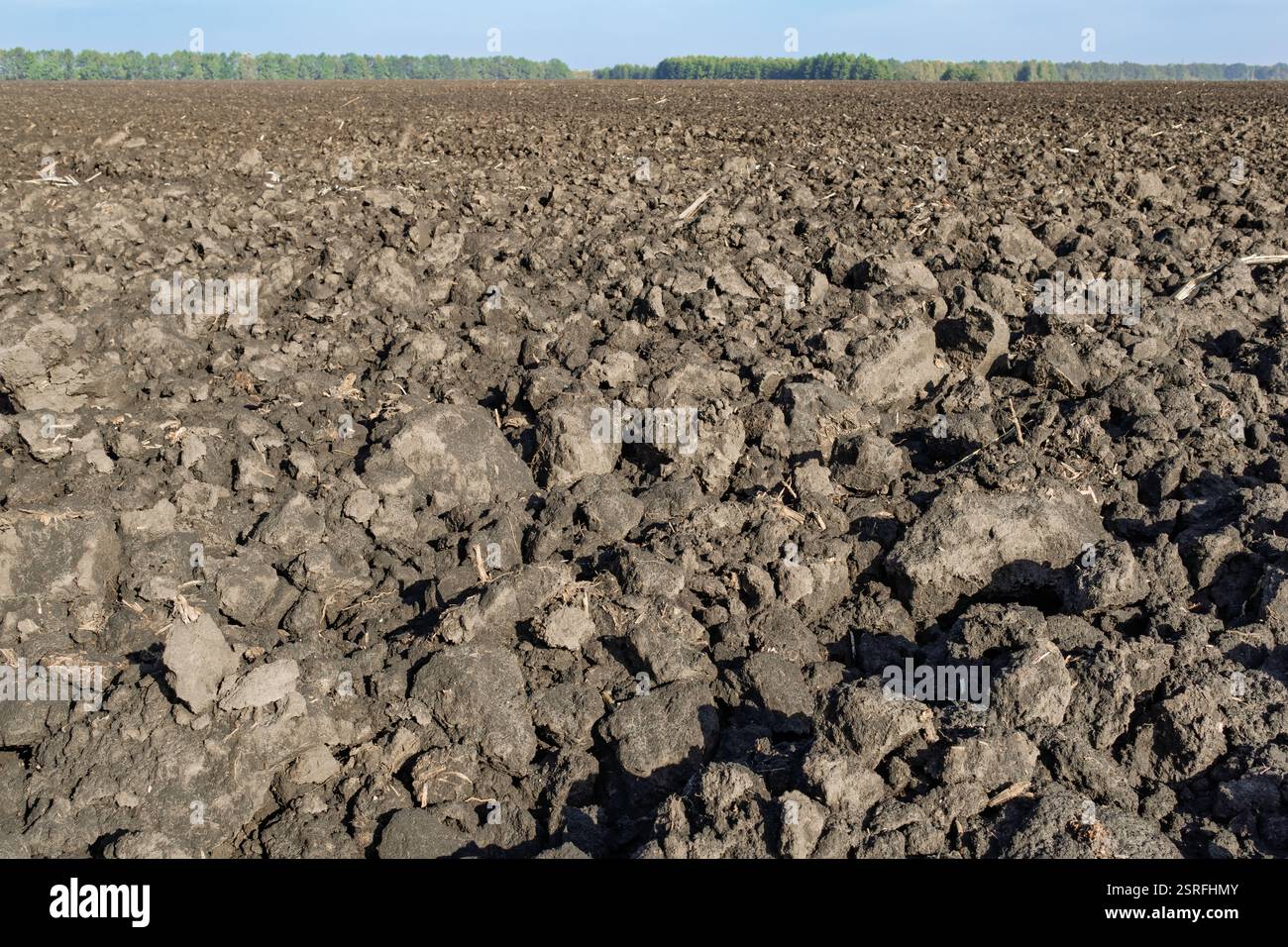 Fresh field. Close up. Soil structure in agriculture Stock Photo - Alamy