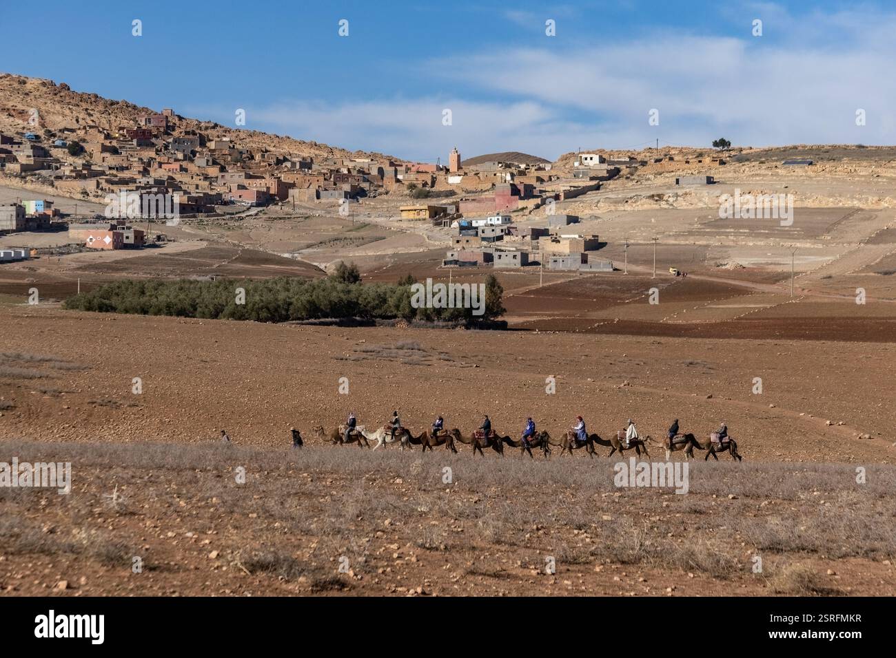 Camel caravan in the desert valley near Marakkesh, MOROCCO Stock Photo ...