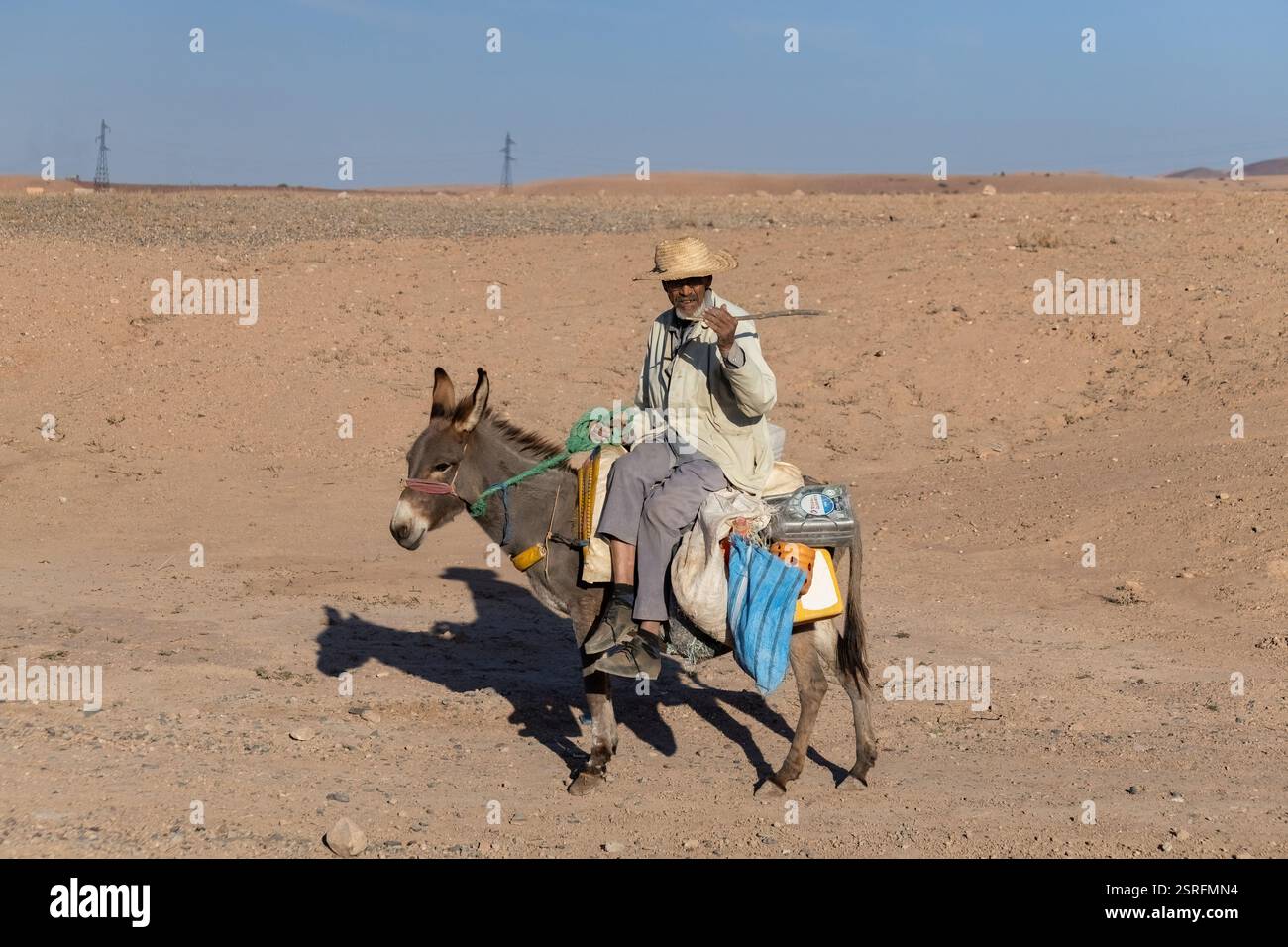 Old Moroccan man riding the donkey in the desert valley on the road in ...