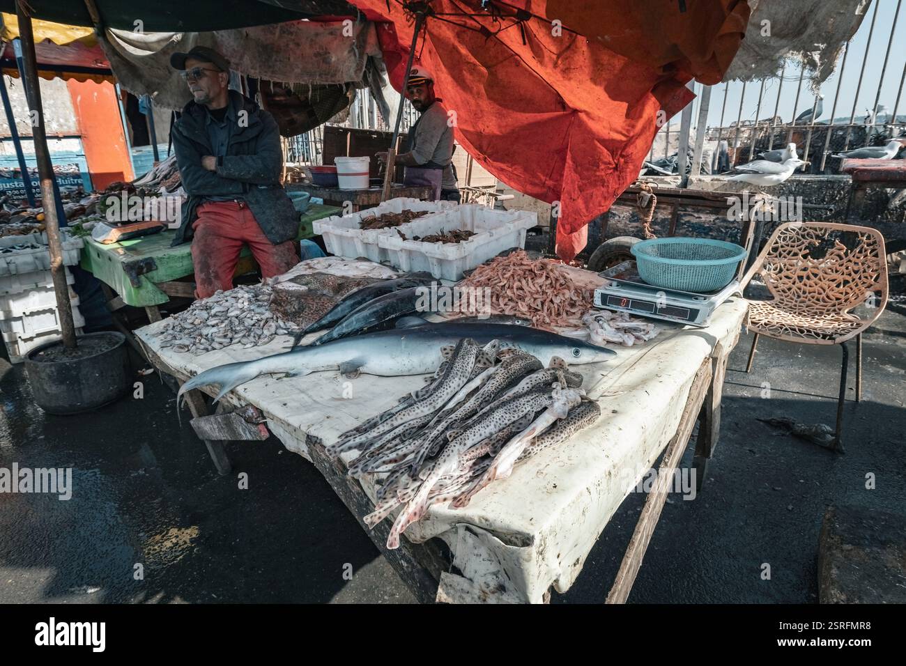 Old fish market people selling fresh fish and seafood old port ...