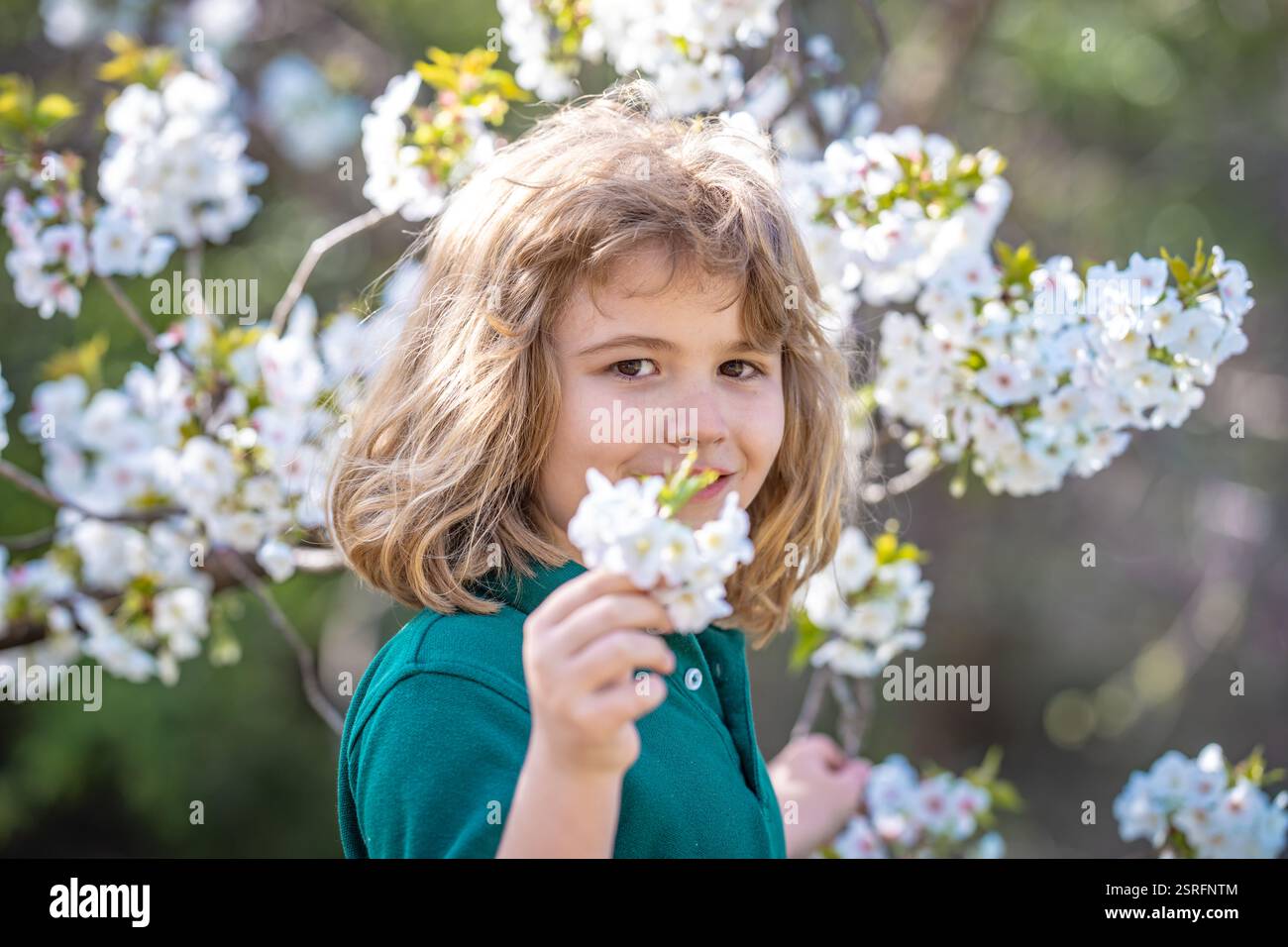 Kid in spring cherry blossom park. Happy childhood. Spring holidays ...