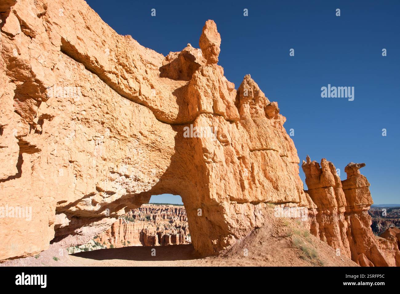Peek-a-boo Trail: Wall of Windows Stock Photo - Alamy