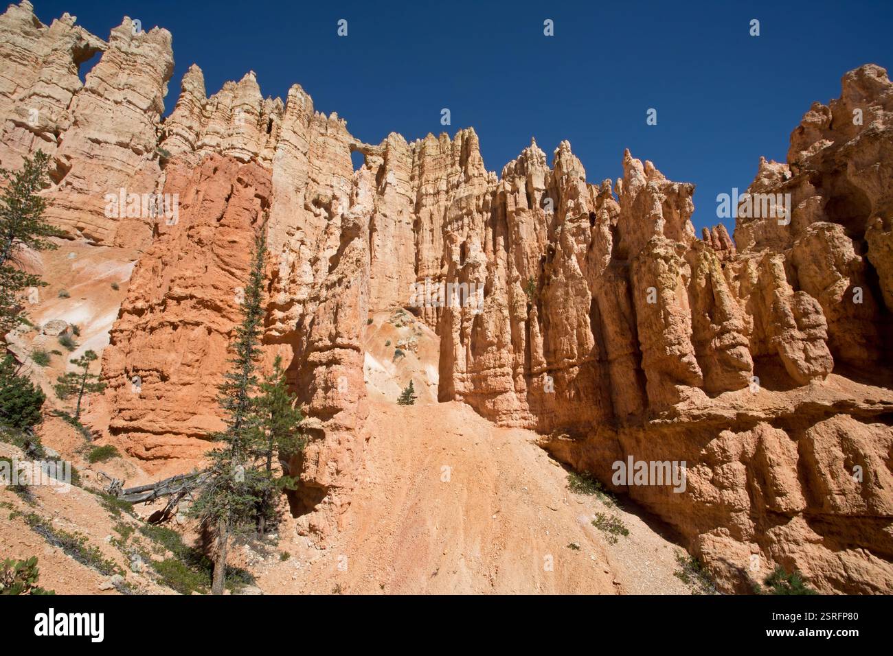 Peek-a-boo Trail: Wall of Windows Stock Photo - Alamy