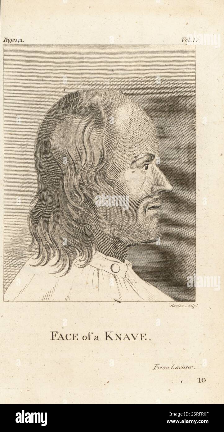 Face of a Knave. Bust in profile of a balding man with beard, open ...