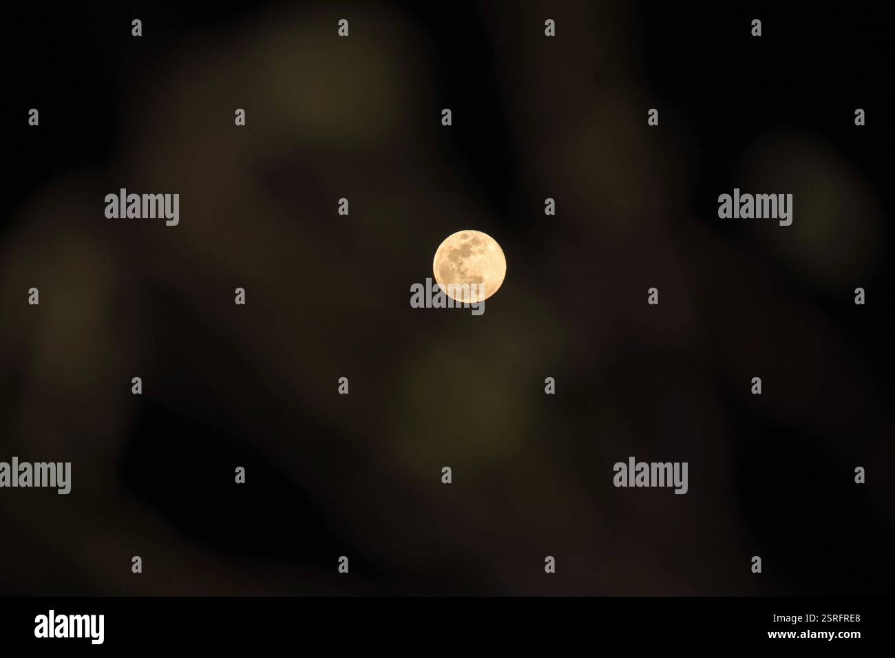 Snow Moon Over Srinagar The Full Snow Moon is seen over Srinagar ...