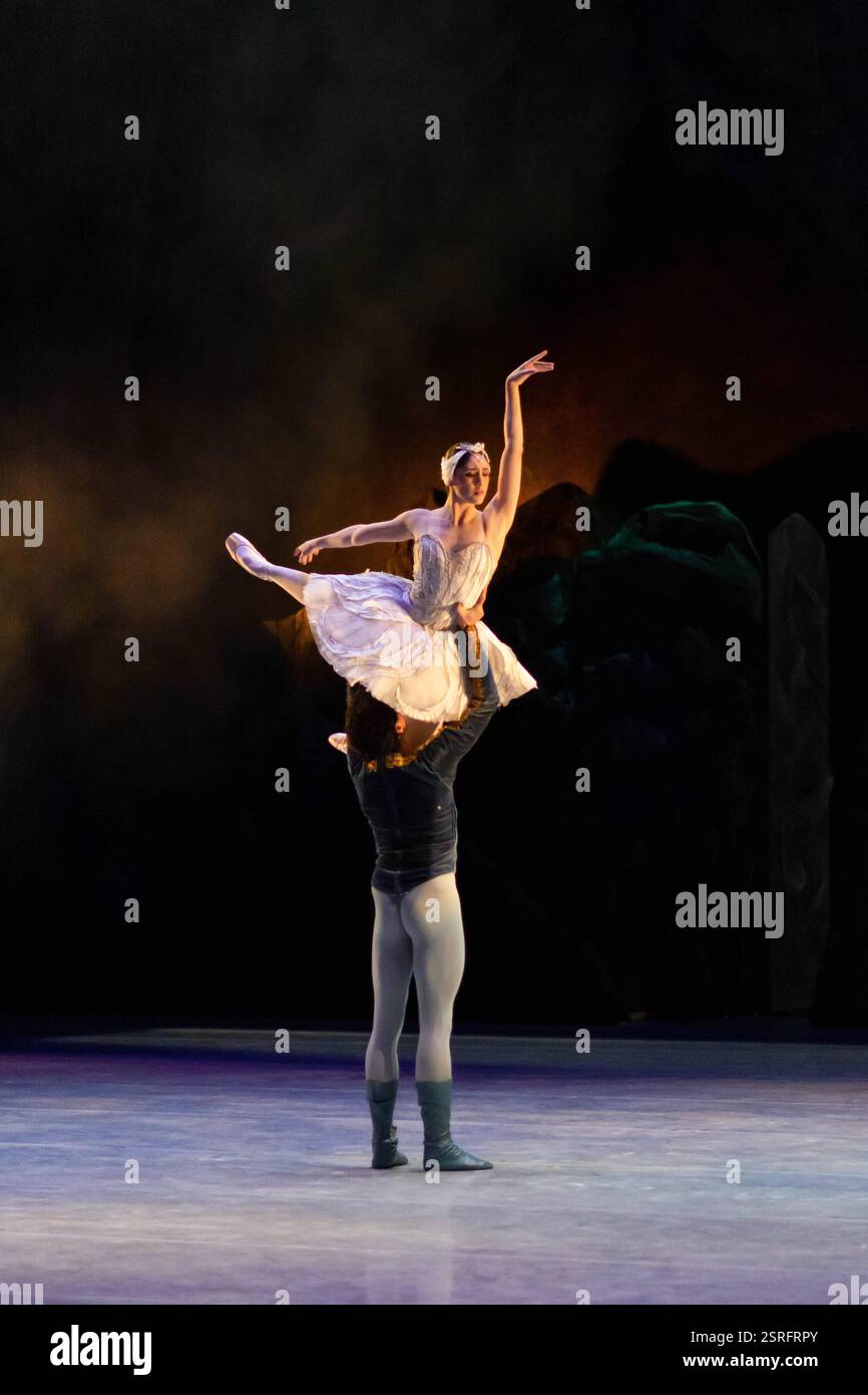 National Dance Company Perform The Swan Lake In Mexico City Dancers of ...