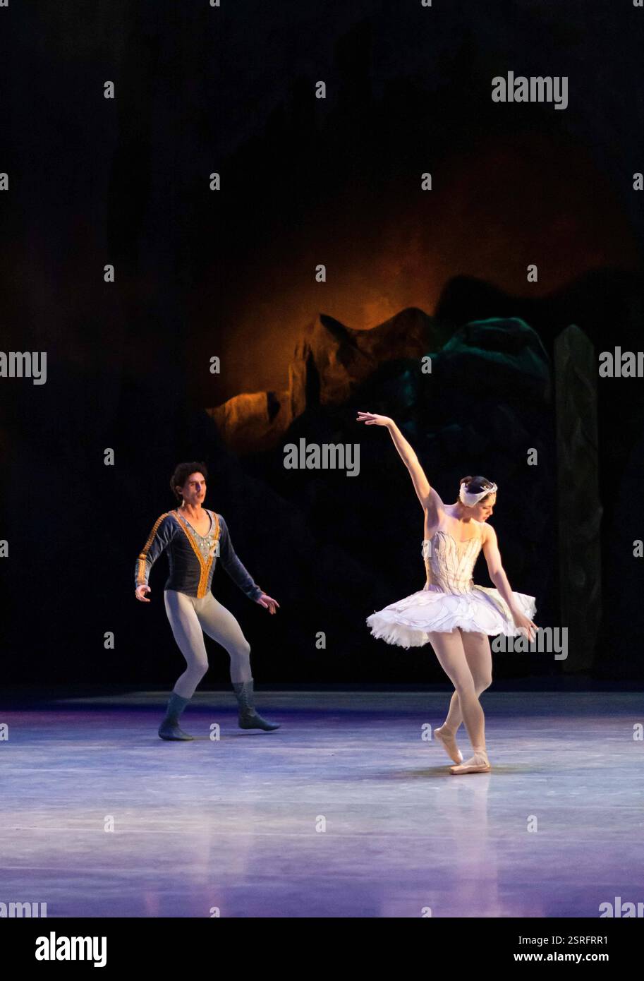 National Dance Company Perform The Swan Lake In Mexico City Dancers of ...