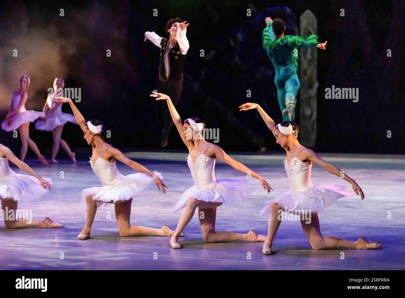 National Dance Company Perform The Swan Lake In Mexico City Dancers of ...