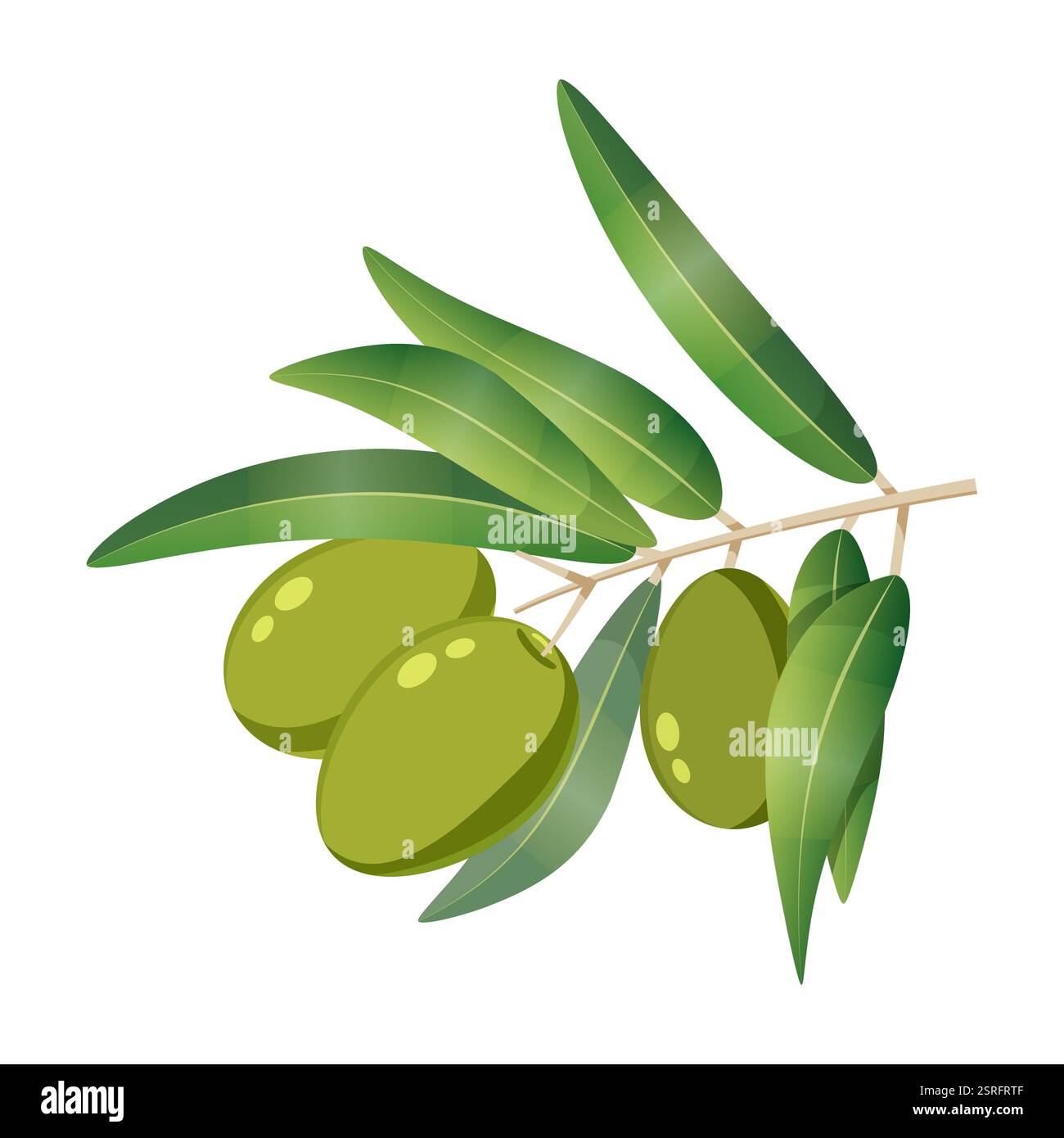 Tree branch drawing Stock Vector Images - Alamy