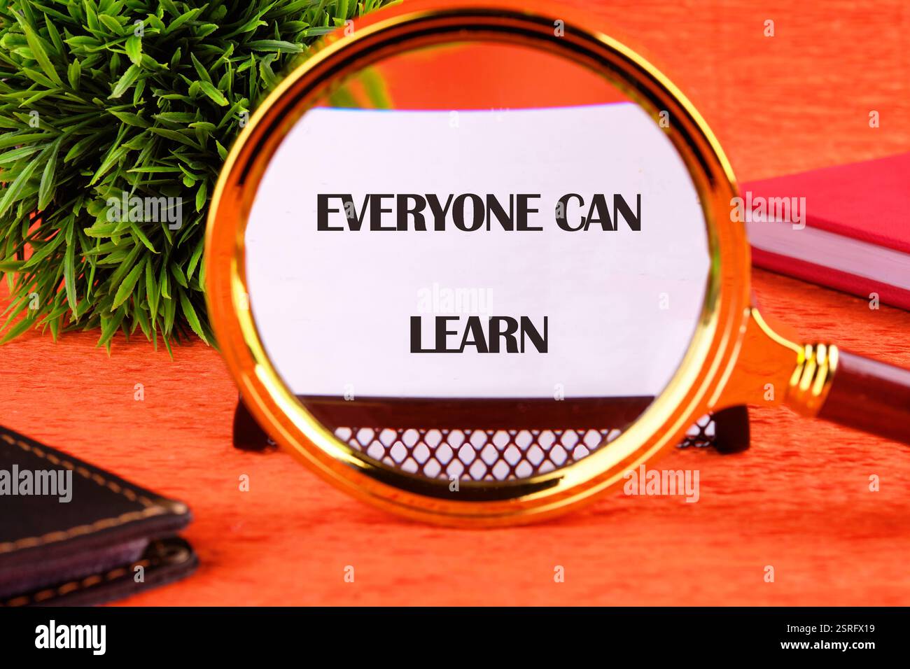Magnifying glass highlights the phrase everyone can learn amidst a ...