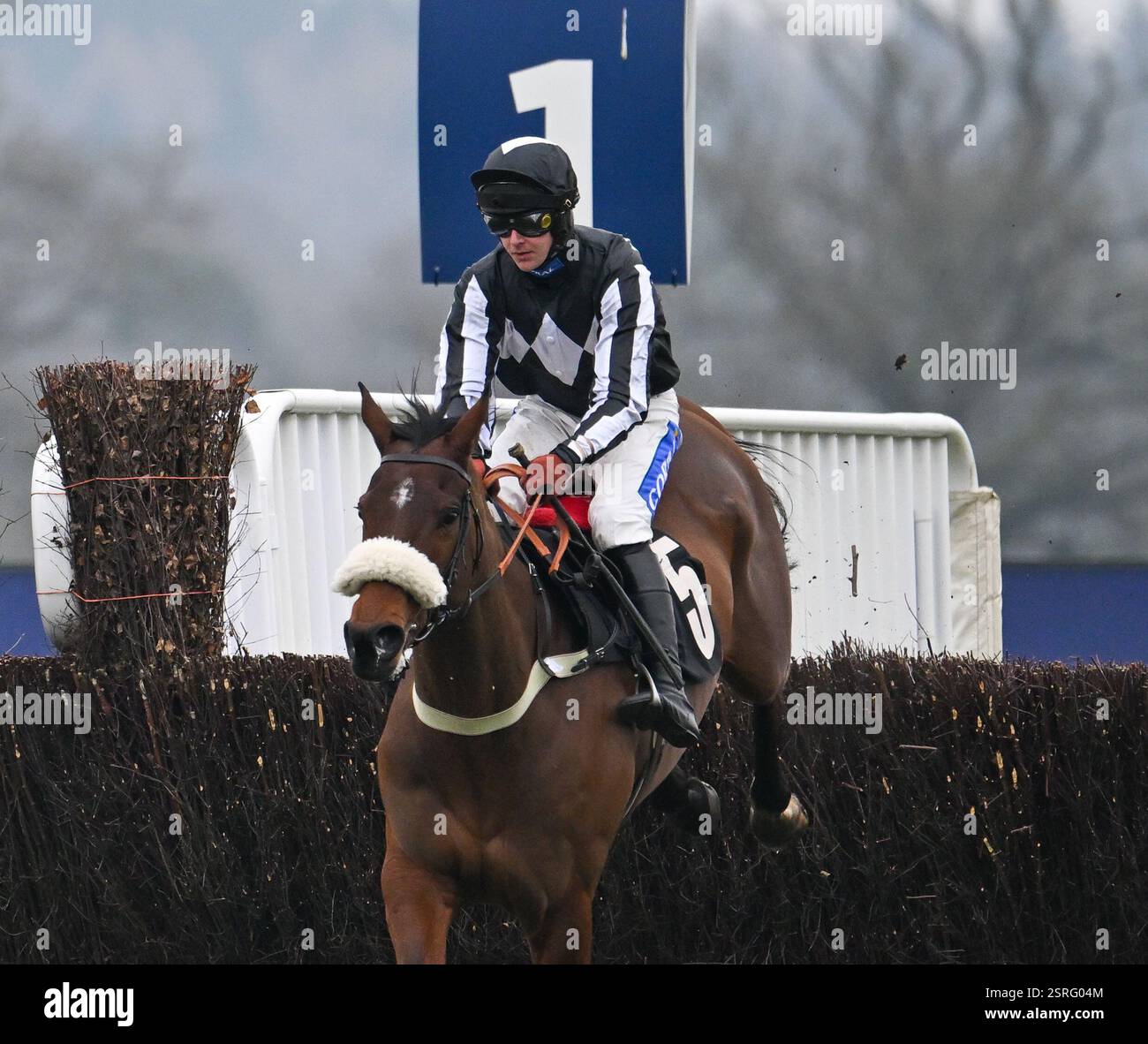 Ascot Racecourse, Berkshire, England. 15 February. The Changing Man ...