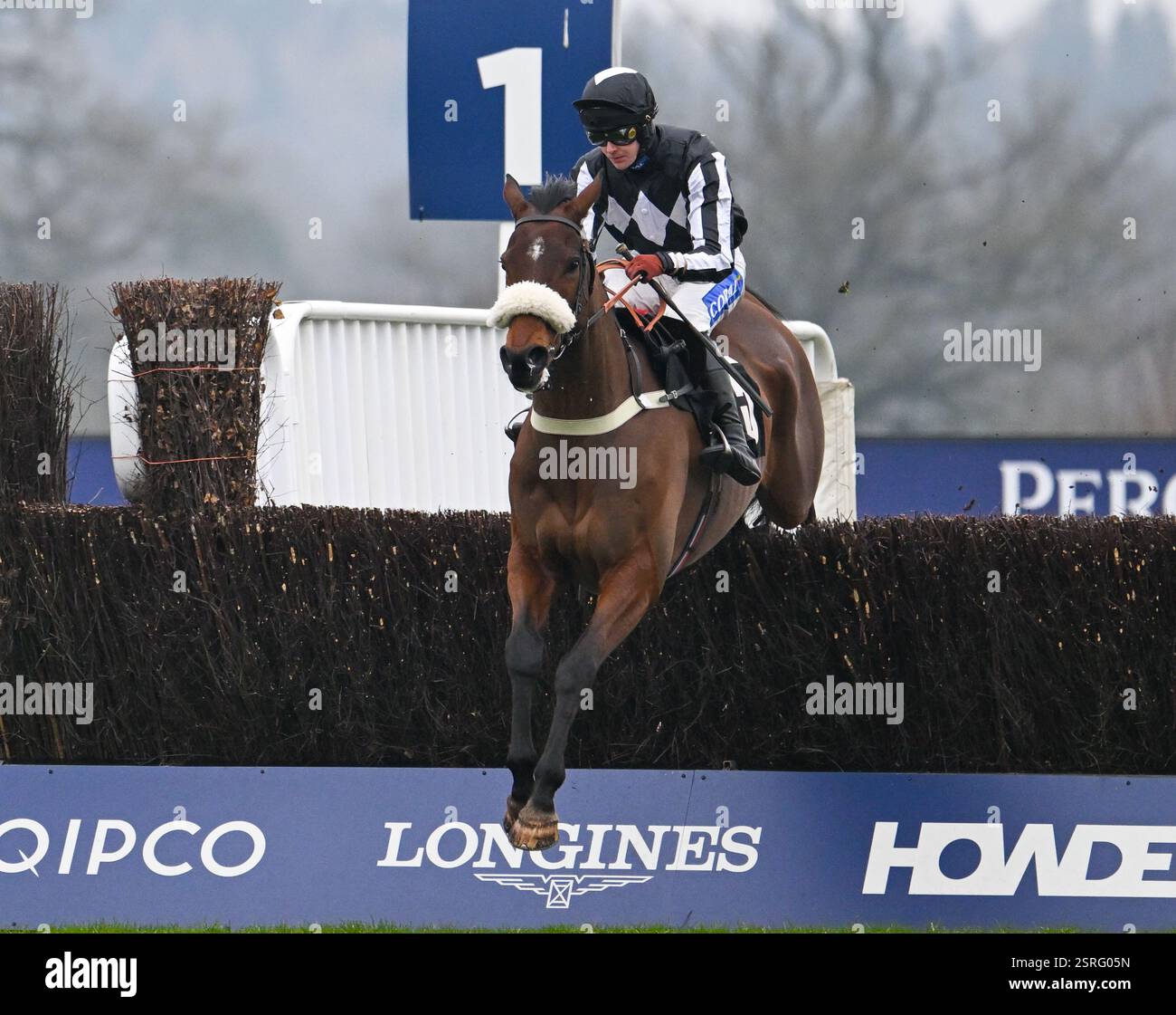 Ascot Racecourse, Berkshire, England. 15 February. The Changing Man ...