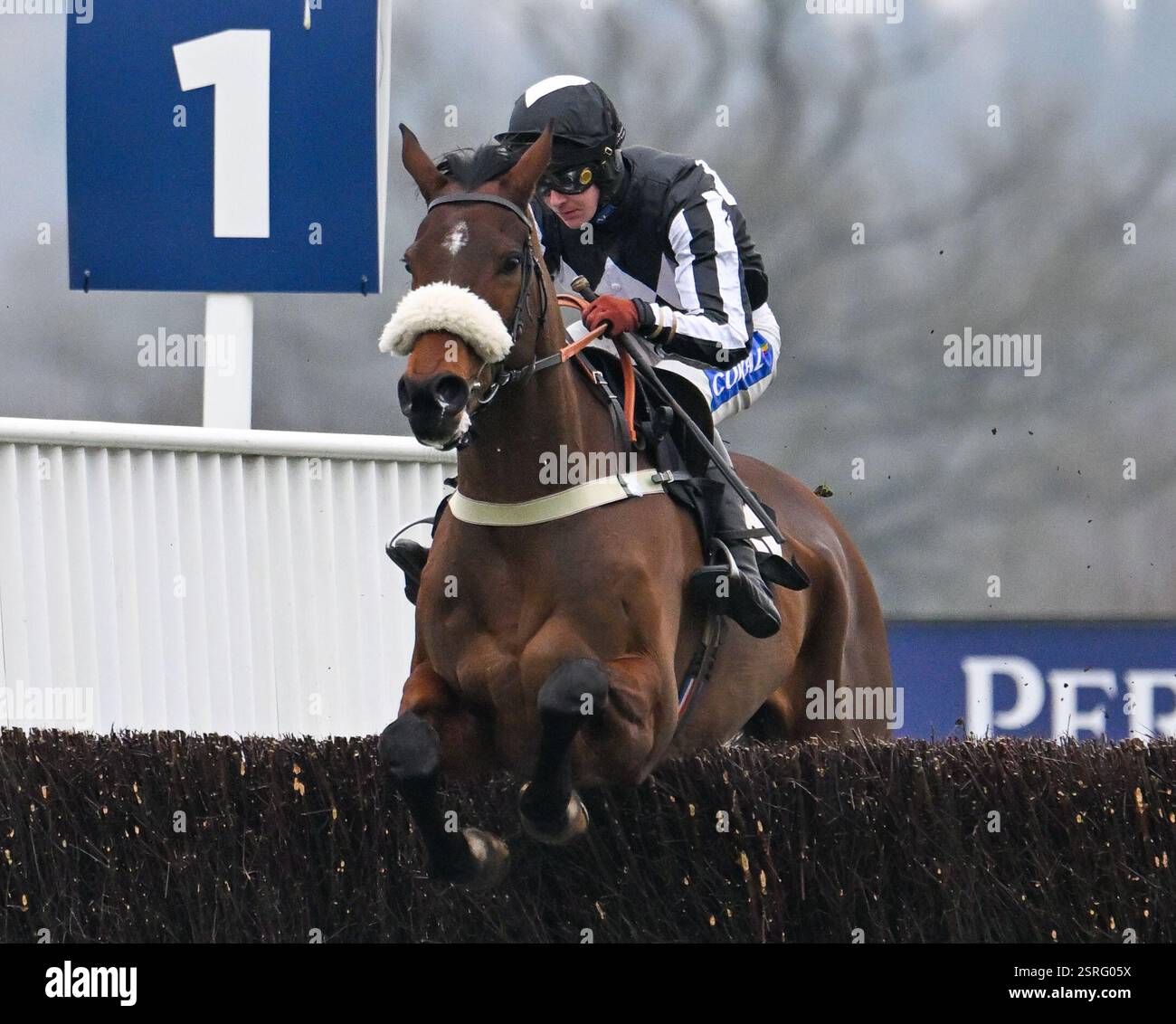 Ascot Racecourse, Berkshire, England. 15 February. The Changing Man ...