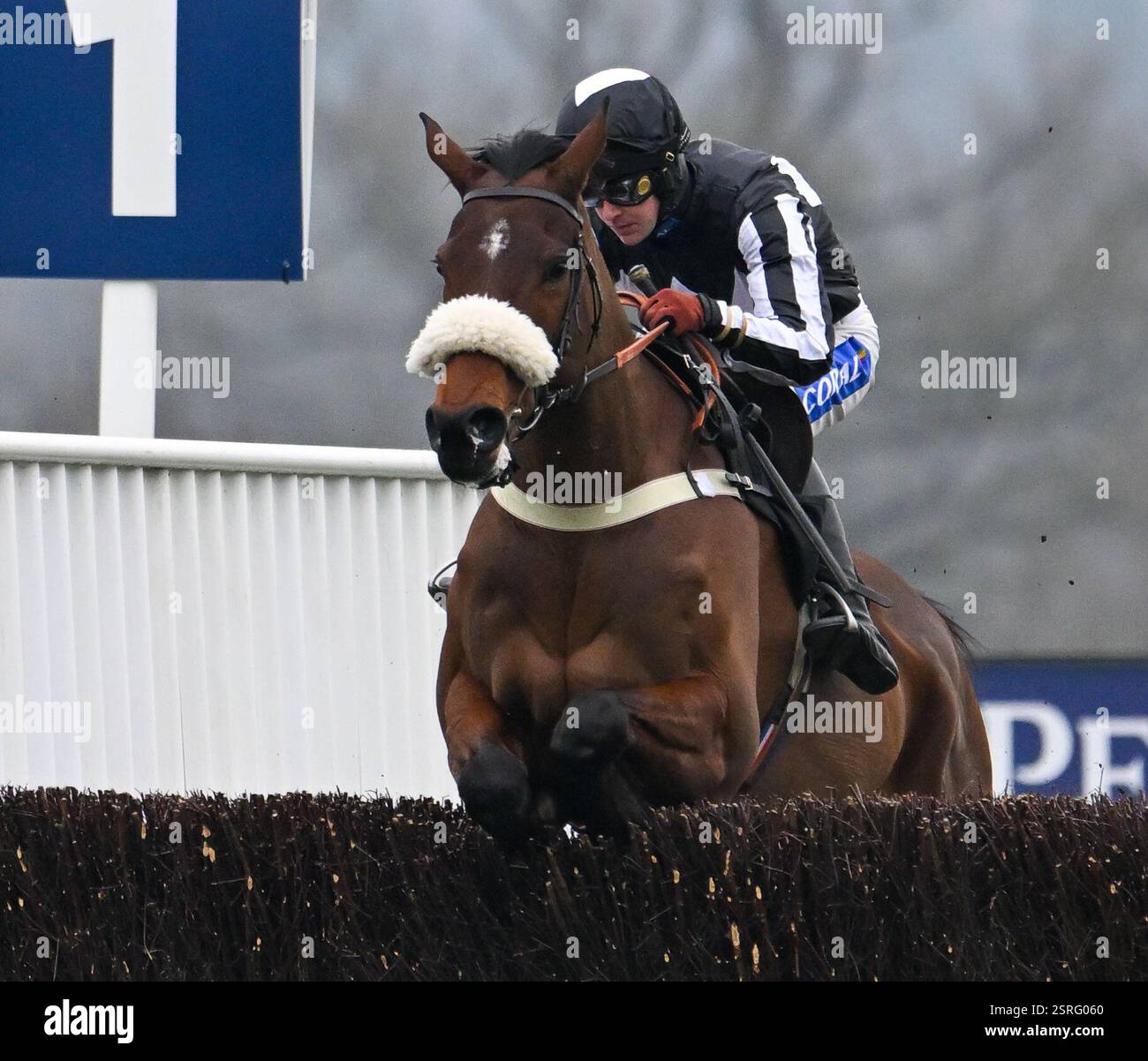 Ascot Racecourse, Berkshire, England. 15 February. The Changing Man ...