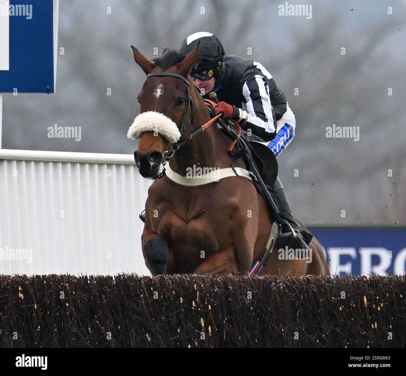 Ascot Racecourse, Berkshire, England. 15 February. The Changing Man ...