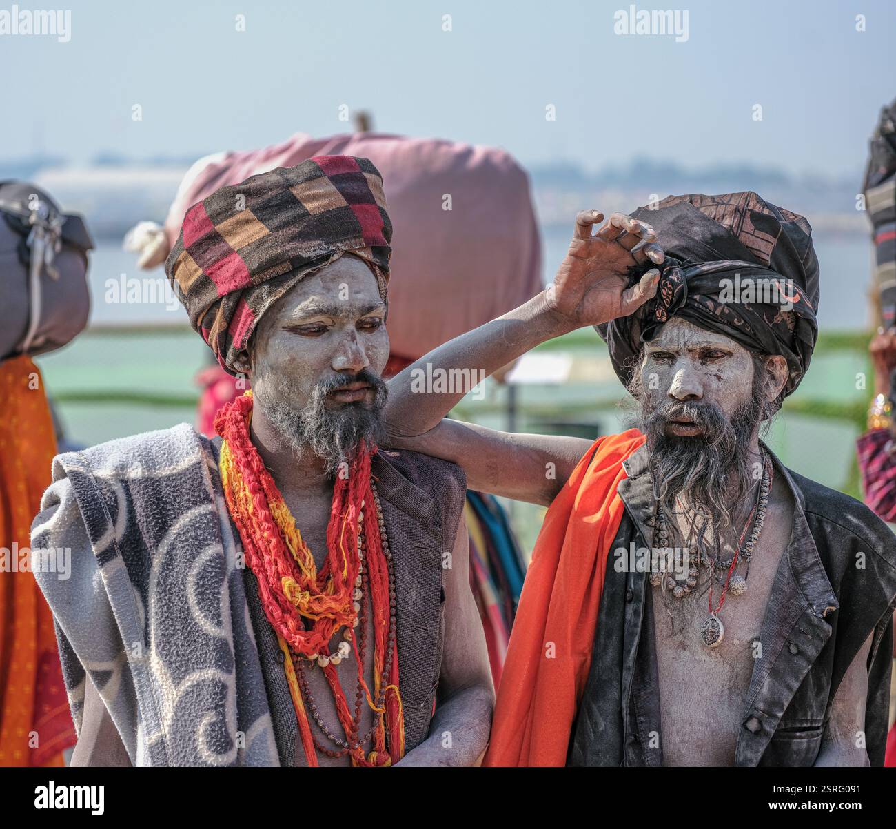 Traditional Hindu ascetics covered in ashes stand together during the ...