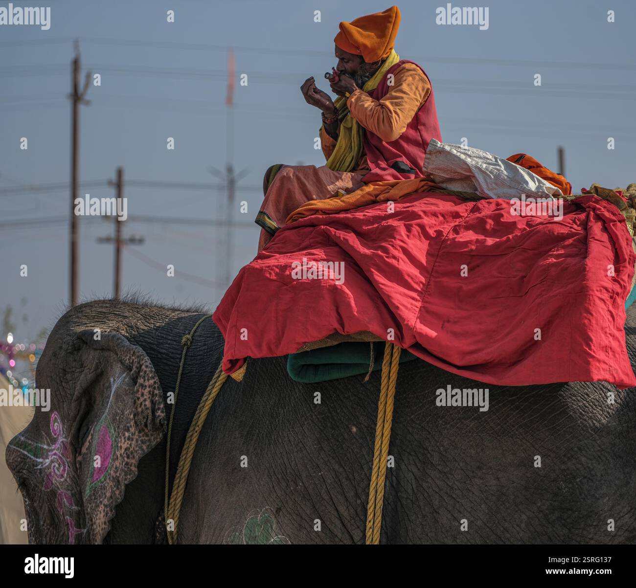 A Hindu sadhu in traditional orange attire sits atop an elephant ...