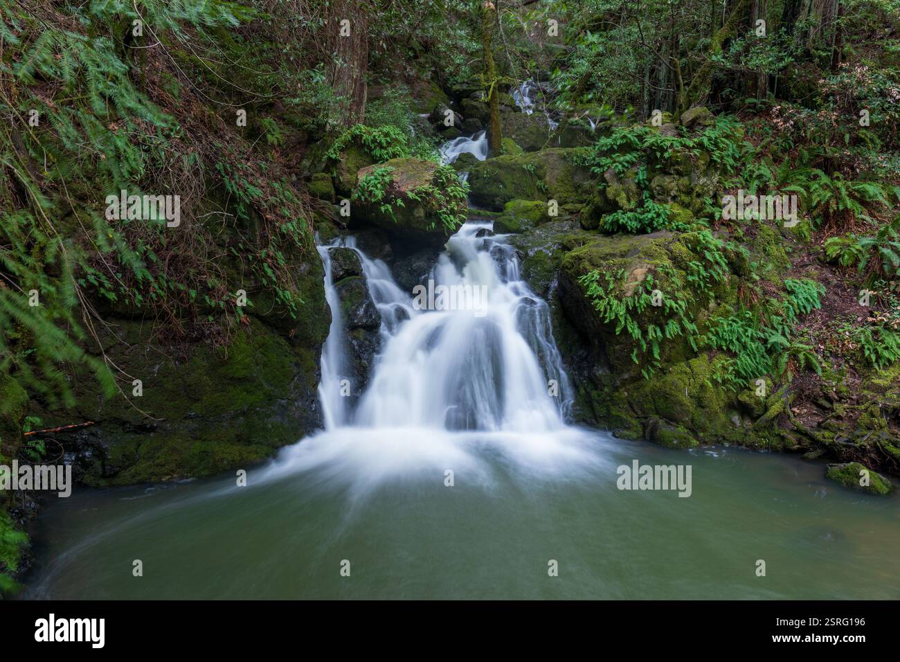 Cascade waterfalls at Cataract Falls. Mount Tamalpais State Park, Marin ...