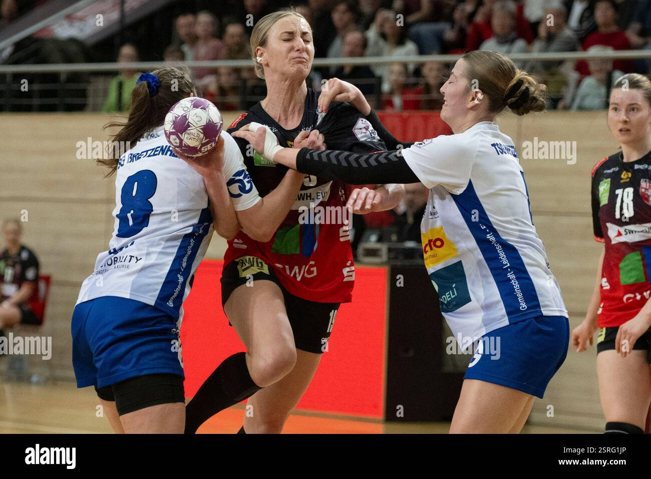 Halle, Deutschland. 15th Feb, 2025. Halle, Deutschland 15. Februar 2025 ...