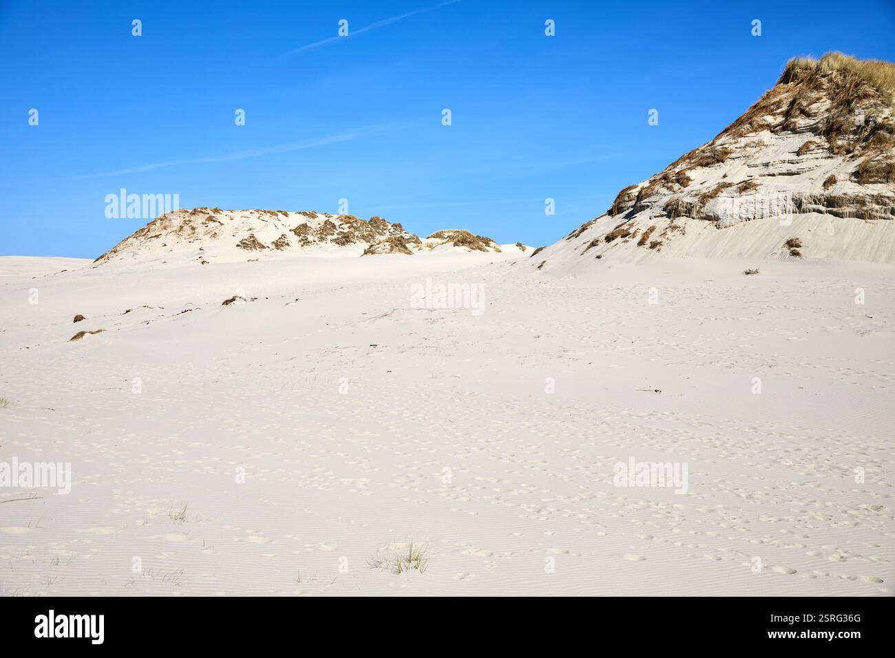 Raabjerg Mile, migrating coastal dune between Skagen and Frederikshavn ...