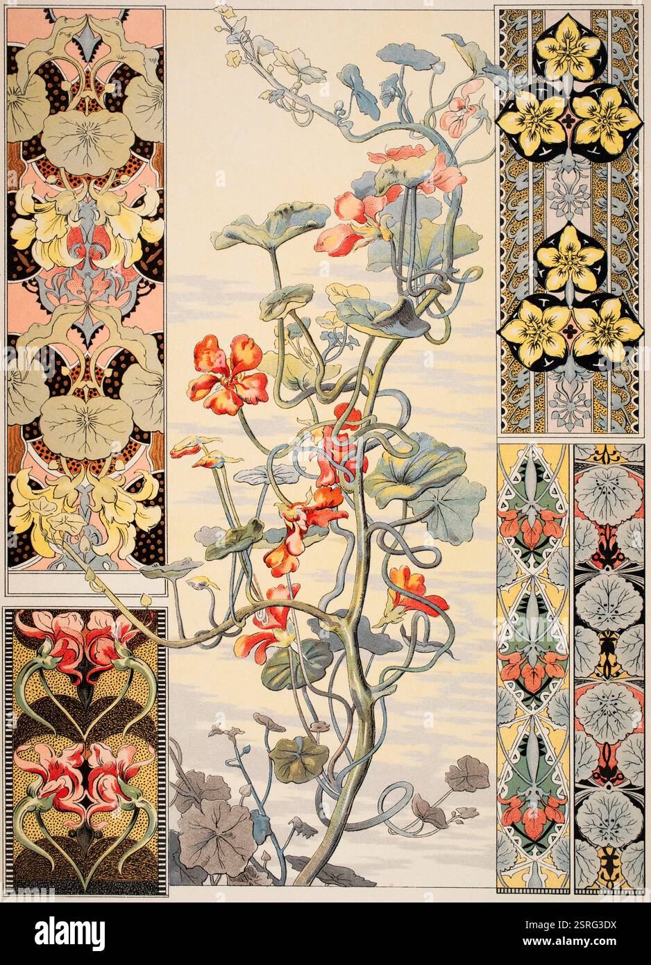 Moderne Flachenmuster und borderen (modern flat patterns and borders ...