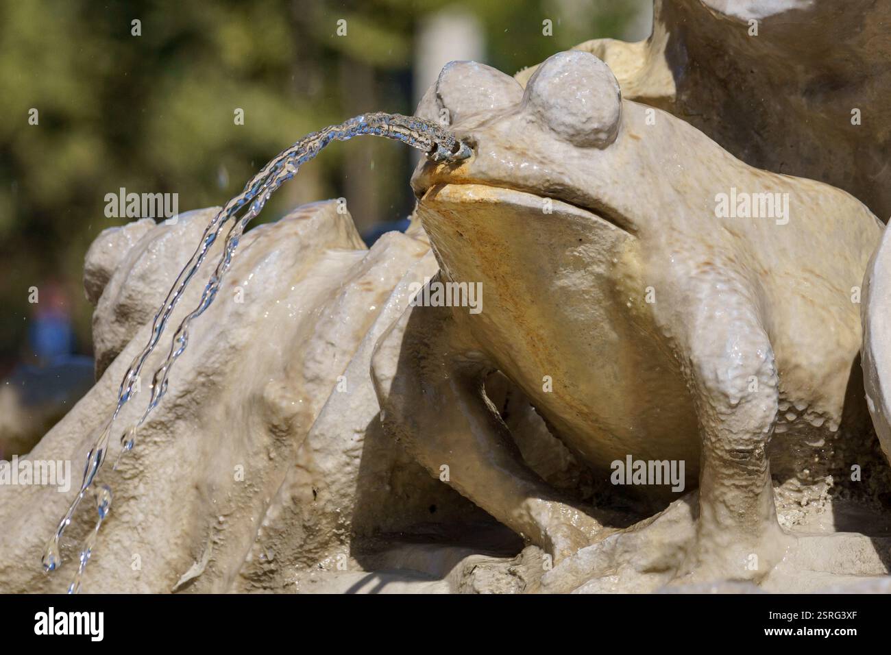 Detail of a Frog on the Fountain of the Frogs (Fontana delle Rane ...