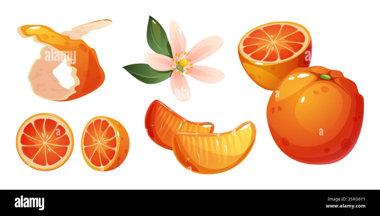 Orange fruit elements set with peeled spiral skin, citrus slice, whole ...