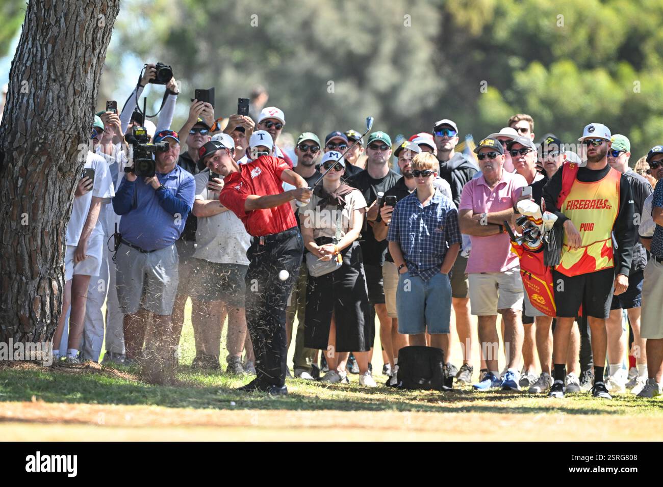 Adelaide, Australia. 16th Feb, 2025. David Puig of Fireballs GC plays a ...